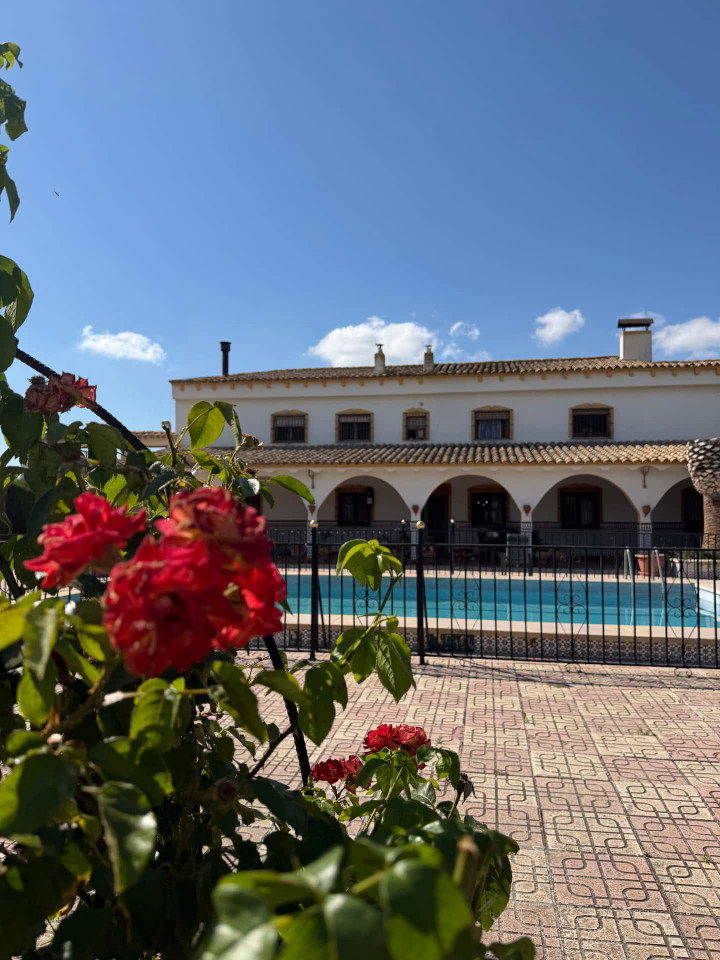Casa Acogedora En Villena, Alicante - Villena