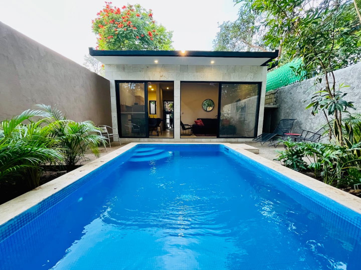 The Tulip - Tepoztlán