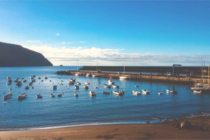 View Of The Port - Valle Gran Rey