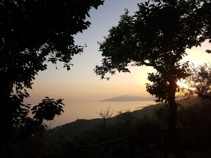 Sea Between Olive Trees2 - Citra 010028-lt-0605 - Lavagna