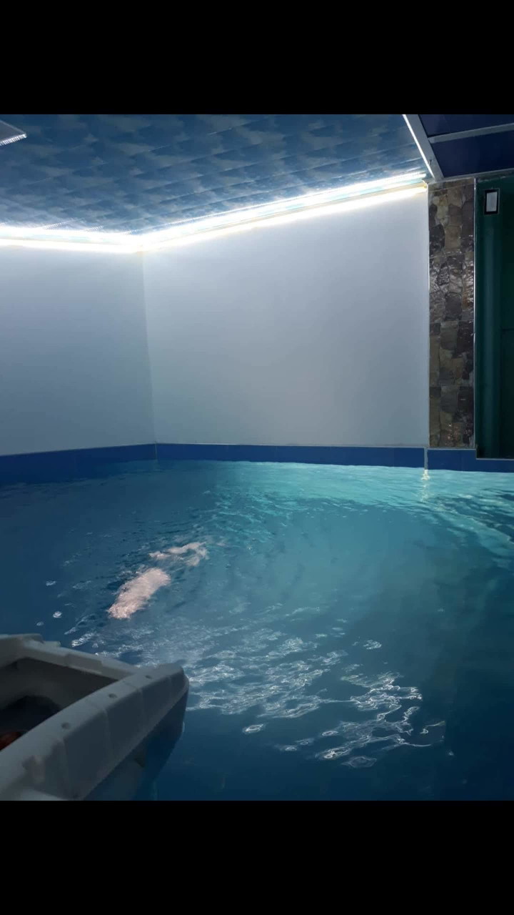 Jijel-f3 Avec Piscine Intérieure Privée - Jijel