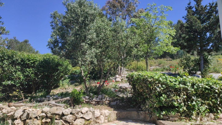 Maison Proche Colline/calanques - Carry-le-Rouet