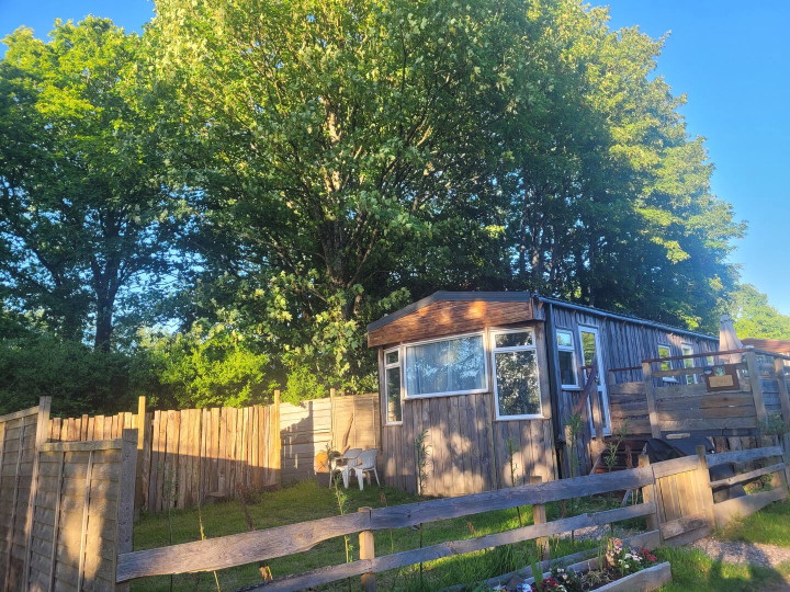 Owl Country Cabin - Devon