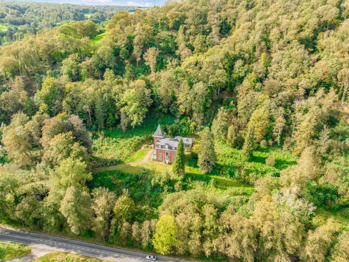 Casa De Nasha · Maison Pour Groupe 10 P.· Près Du Château 1872 - Chaudfontaine