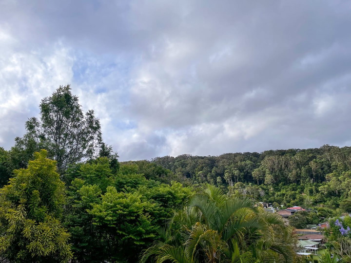 Didi's Hideout - Coffs Harbour