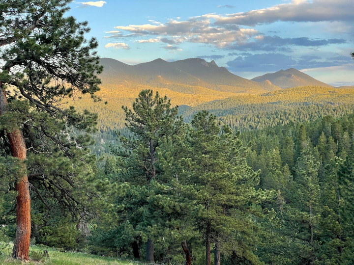 Quiet, Cozy Retreat On 5 Acres With Stunning Views - Nederland, CO