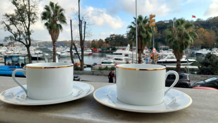 Vu Sur Le Bosphore Istanbul - Riva