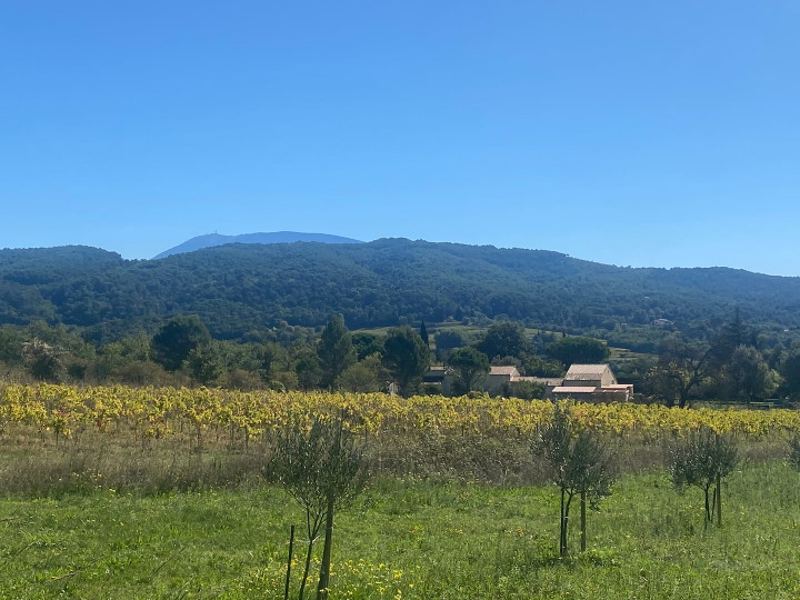 Lecrin De Tosca - Gîte En Provence Avec Piscine - Vaison-la-Romaine