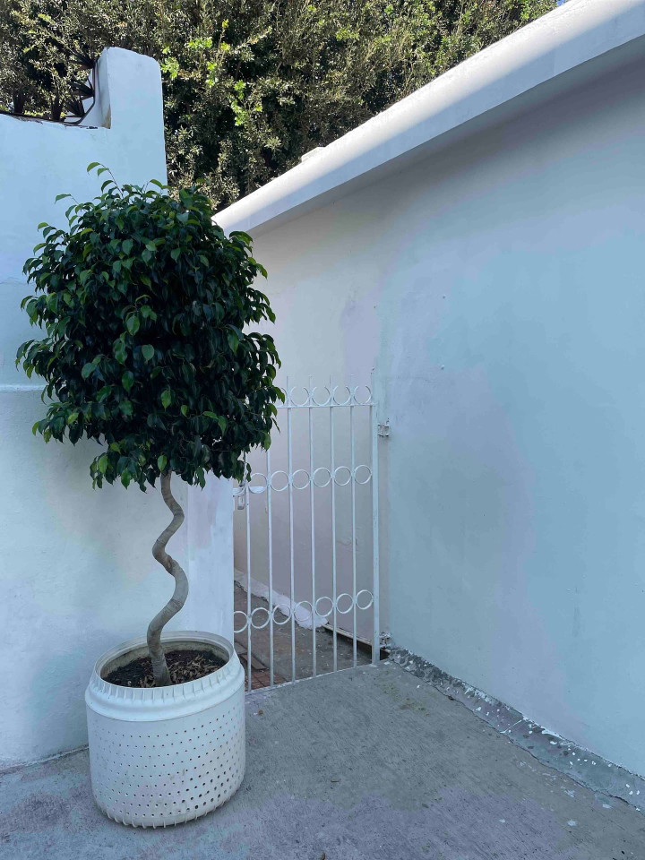 Casa Obregon - Nuevo Laredo
