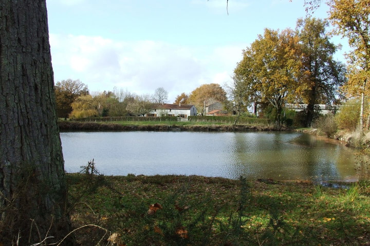 Gite à La Ferme "Les Places" - Parthenay