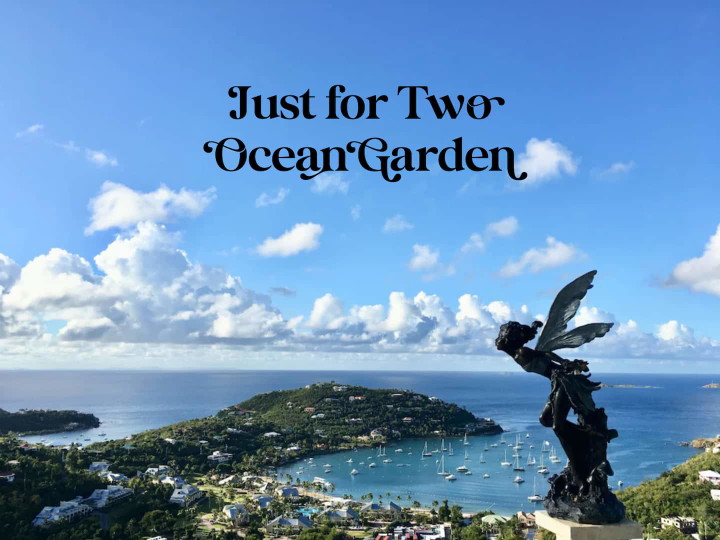 Ocean Garden-winter Storm Sale-ocean View - Cruz Bay