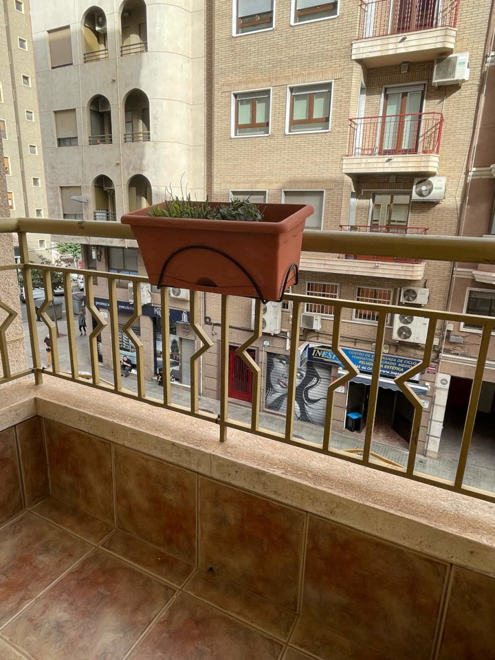 Centrally Located Apartment In Elche (12878154) - Elche