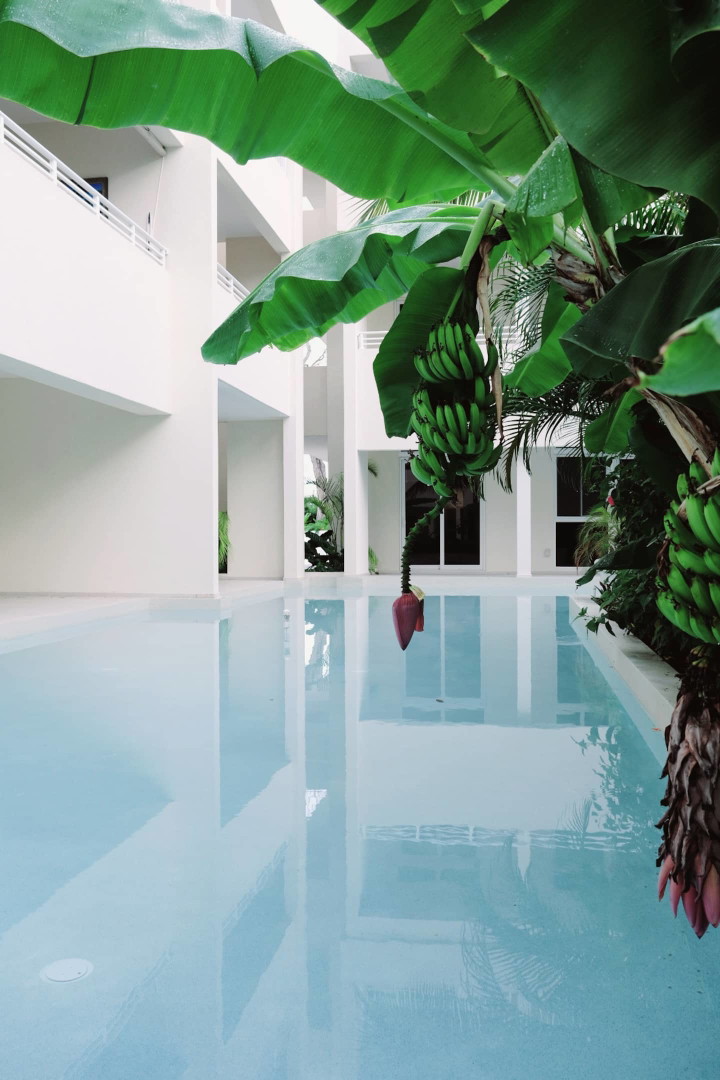 Retraite Moderne Avec Piscine, Plages Et Restaurants à Proximité - Barbade