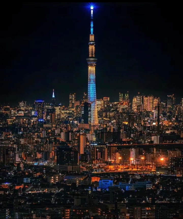 Skytree, Nishi-nippori, Jr Yamanote Line/subway Dual Line/5 Min To Station 82 - Akihabara