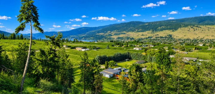 The Uncorked Orchard View Lake Country Escape - Lake Country