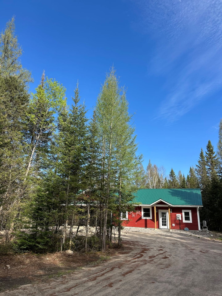 Cozy Forest Cottage Stay | Private Room In Kearney - Ontario 60