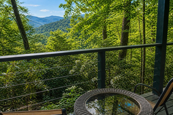 Large Mountain Views | Hiking | 25mins To Dt A-vil - North Carolina