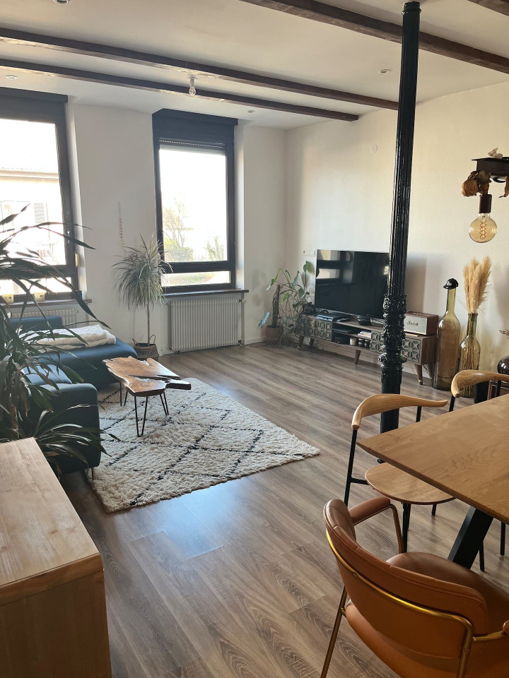 Grand Et Lumineux Appartement / Quartier Robertsau - Strasbourg