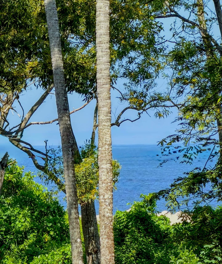 Sea View Retreat 50m To Quiet Beach Marari - Alappuzha