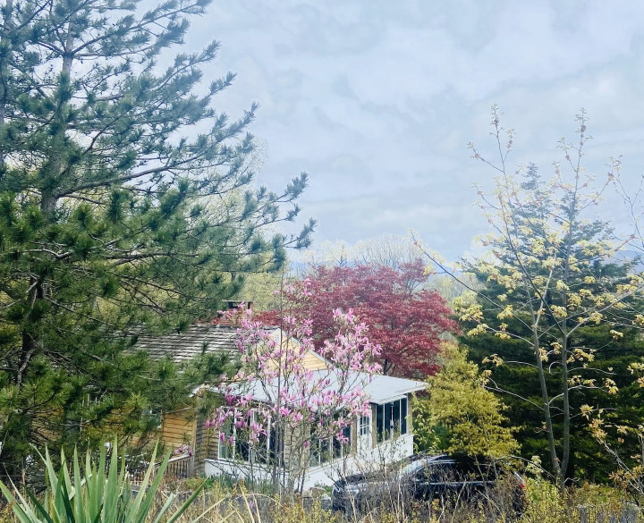 Nature Mountain Retreat - Outdoor Sauna+hot Tub - Woodstock, NY