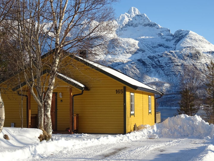 Guraneset At Steinvoll Farm - Norvegia