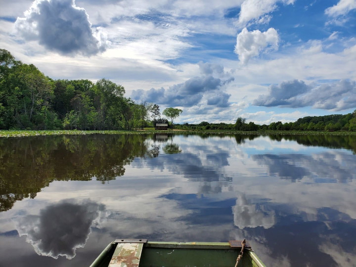 Stanleys Cabin- Beautiful Farm With Private Pond - Culpeper, VA