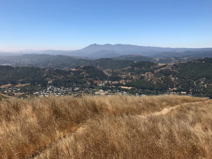 Lucas Valley One-bedroom Apartment - San Rafael, CA