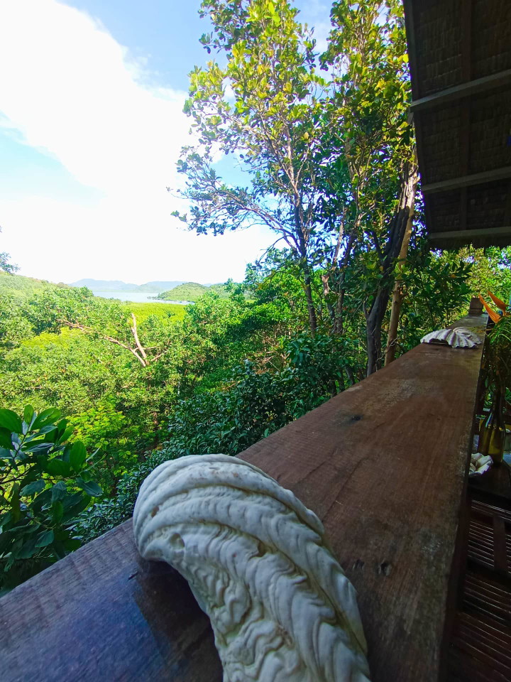 Busuanga Nature Retreat With Stunning Oceanview - Busuanga