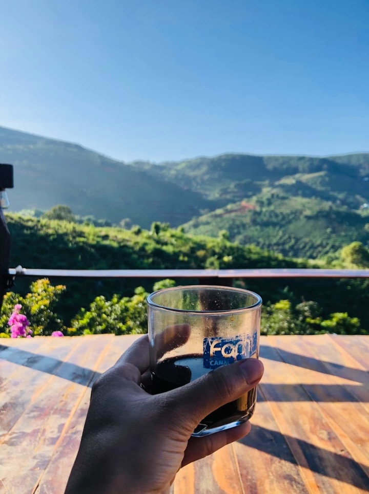 Ivy Farm - Nơi Chữa Lành Và Nghỉ Dưỡng - Vietnam
