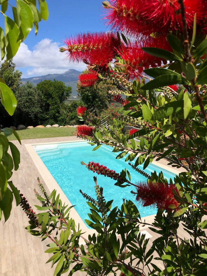 Gîte « L'albitru » - Minalyne - Figari