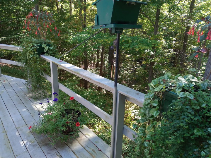 Sparrow Creek Airbnb - Cayuga Lake, NY