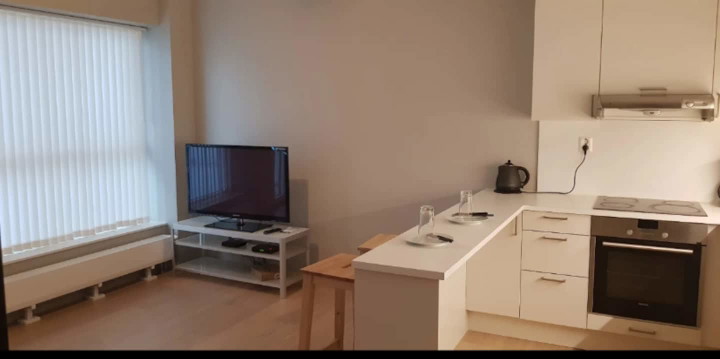 Superbe Appartement Spacieux Près De La Gare Centrale&nbsp;!* - Oslo