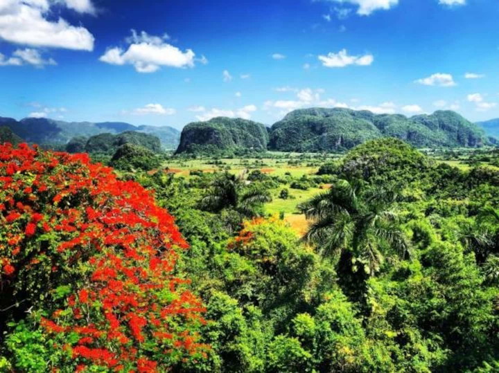 Villa Las Casas "Wifi Incluida Y Generador " - Vinales