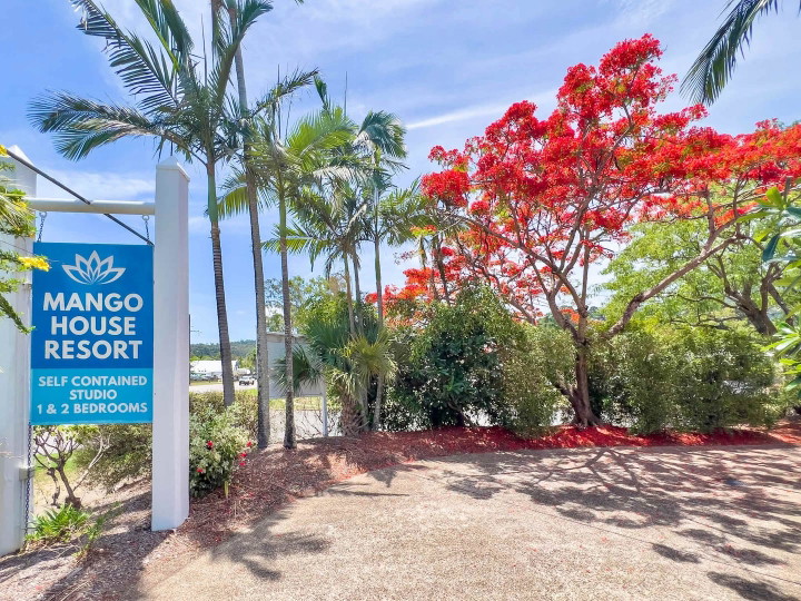 Island Orchid - Airlie Beach