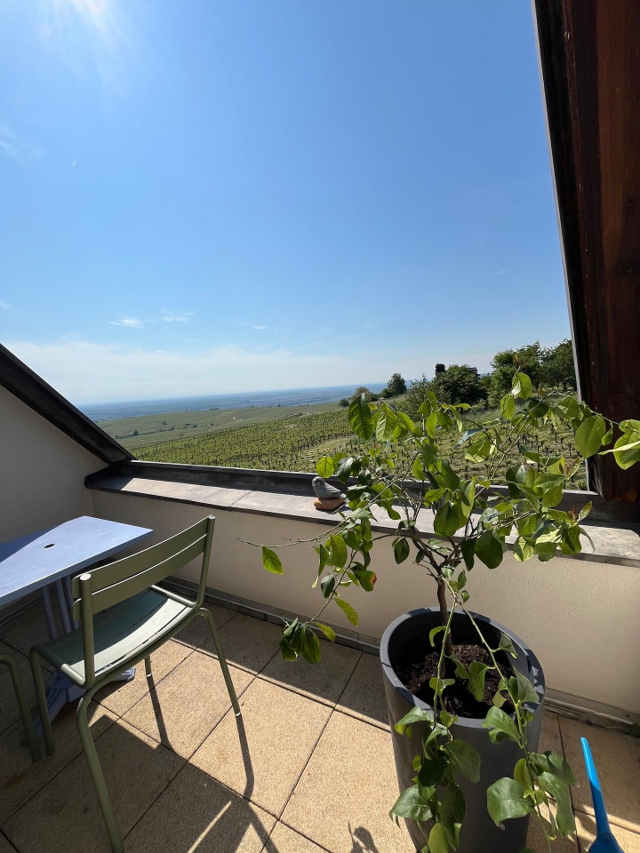 Chambre Dhôtes Vue Sur Vignoble Avec Terrasse - Eguisheim