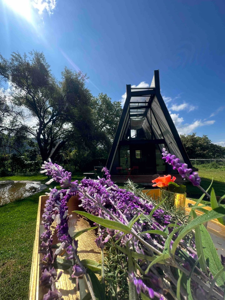 Glamping | Malinalco | Barbecue, Bonfire & Starlight - Malinalco