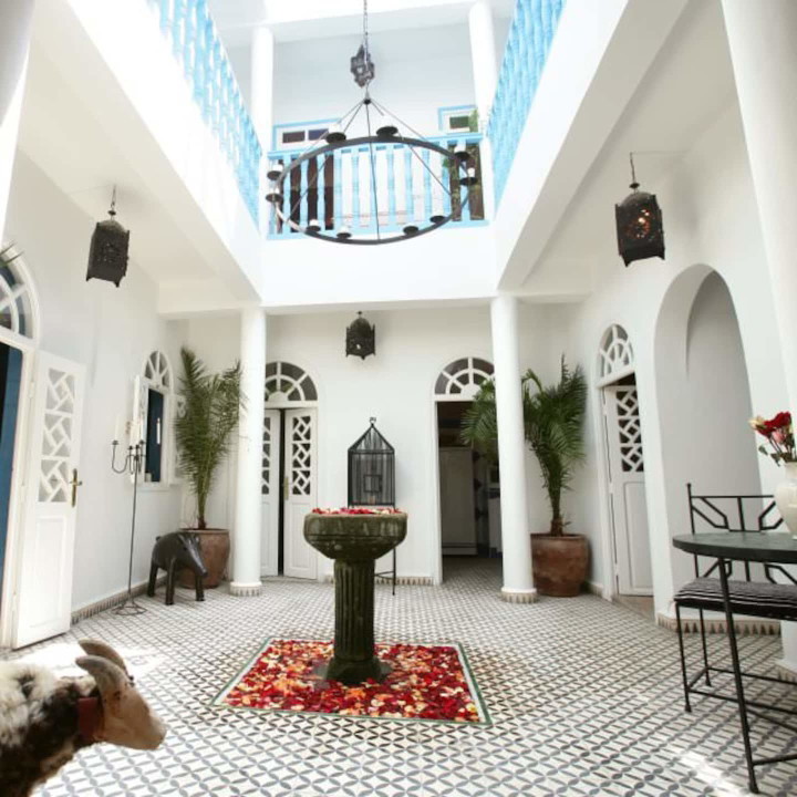 Dar Leila - Perfect Family / Group Home - Essaouira