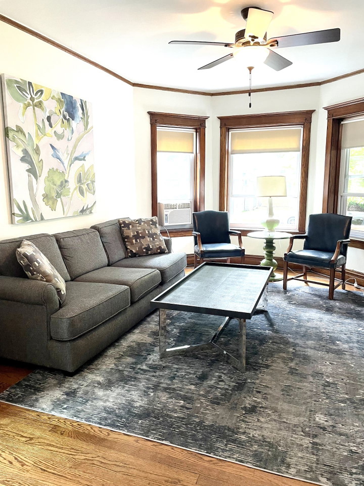 Clean And Comfy Updated Apt In Convenient Location - Elmhurst, IL