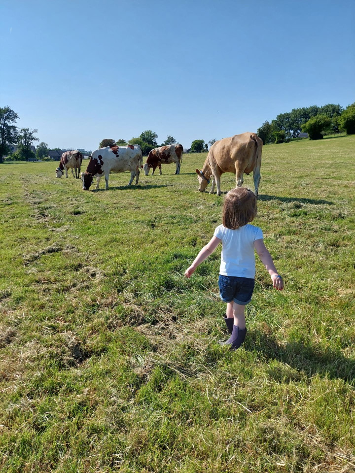 Gîte Tranquille à La Ferme En Campagne."la Meule" - Aubel