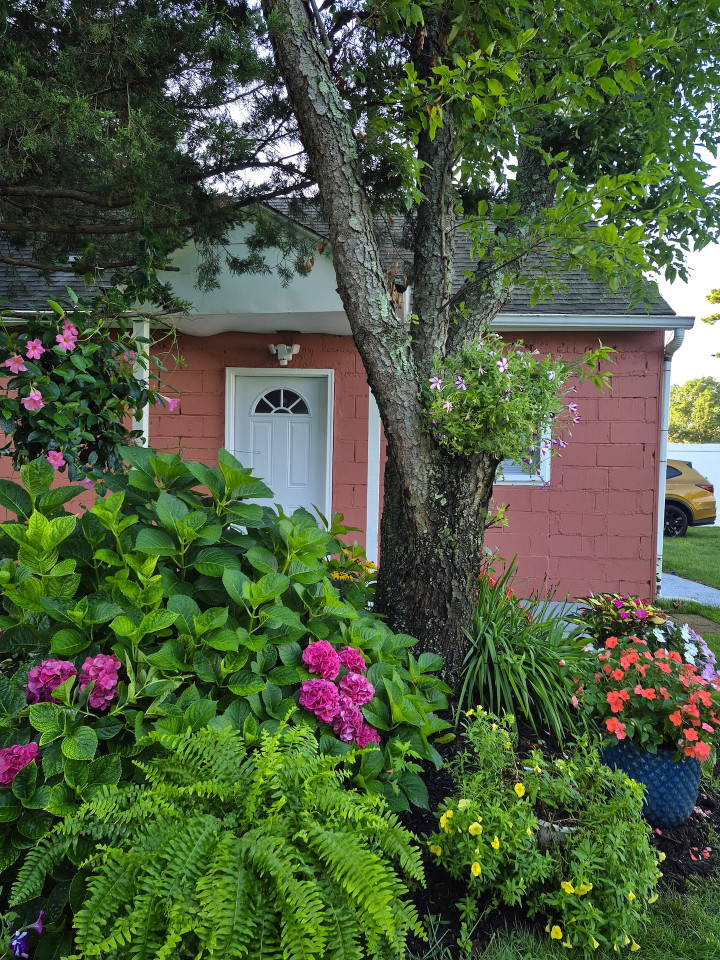 Cabin In The Trees - Fire Island, NY