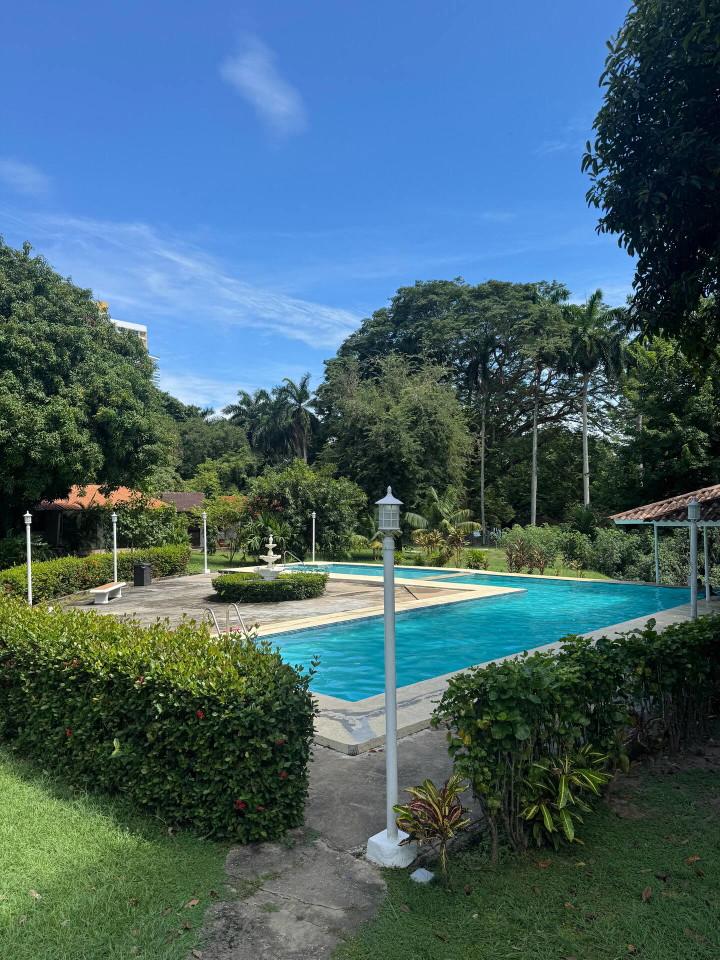 Las Palmeras - Panama