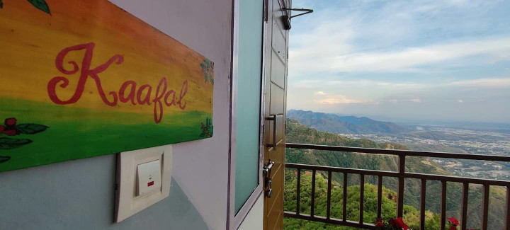 Kaafal - Mussoorie