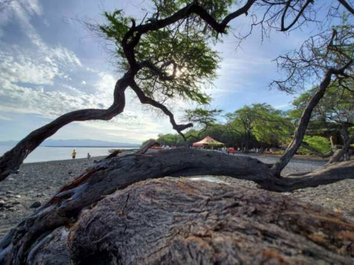 Last-minute Deal! Central, Clean & Cozy Stay - Hawaii