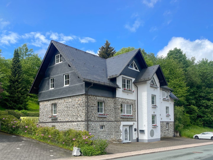 Villa Die Sonne (Max 21p) - Willingen (Upland)