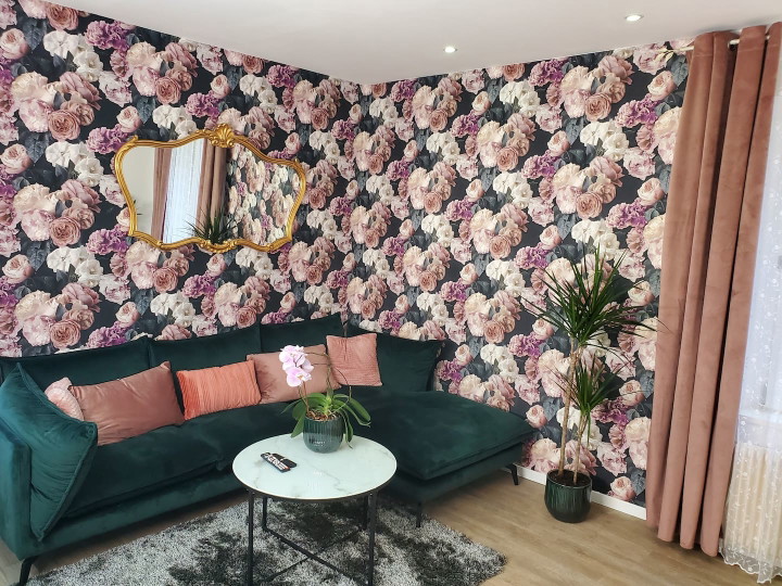 Mirka & Franck Chic A/c + Heating + Garage + Free Parking - Colmar