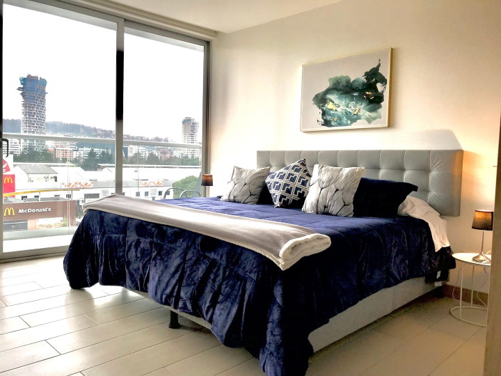 Cozy Studioone/la Carolina/free Gym, Pool, Parking - Quito (Ecuador)