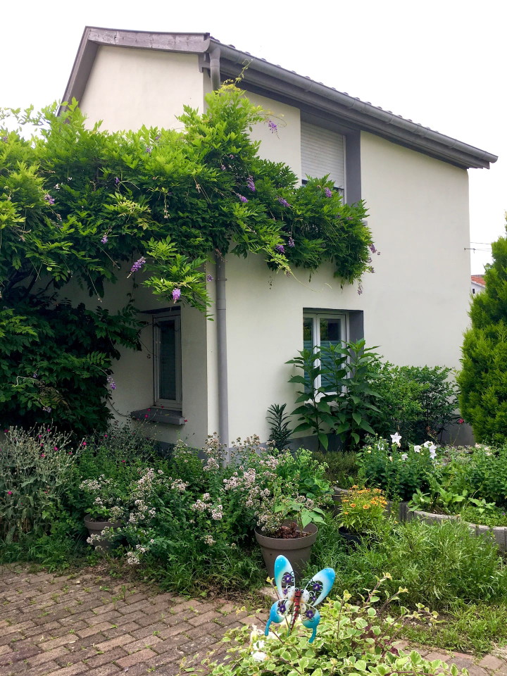 Charmante Petite Maison Au Coeur De Mon Jardin - Strazburg