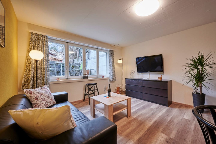 New Renovated & Cozy Studio In A Great Location! - Interlaken