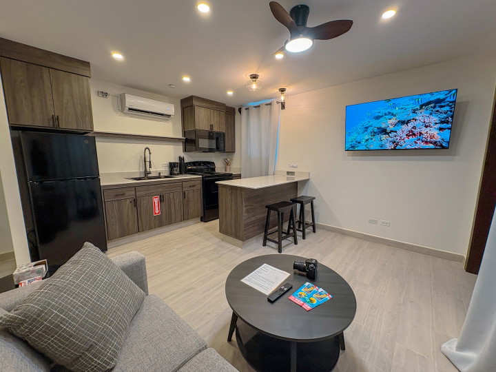San Pedro Belize 1 Br Unit. The Chiqui House. - Belize