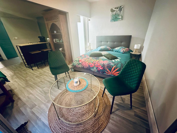 Studio Indépendant Avec Jardin - Ballan-Miré